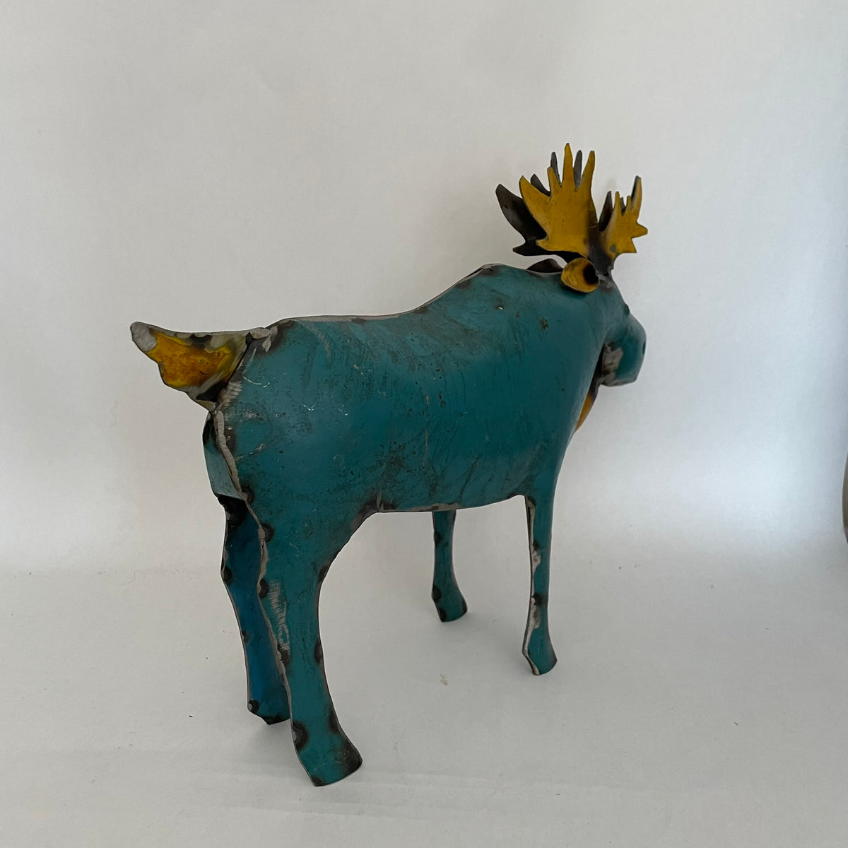 Blue Moose – Everyday Artifact